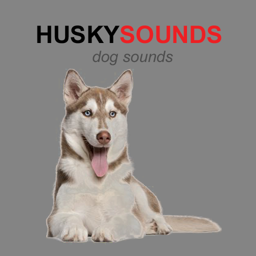 Husky Dog Sounds & Dog Barking:Amazon.com:Appstore for Android