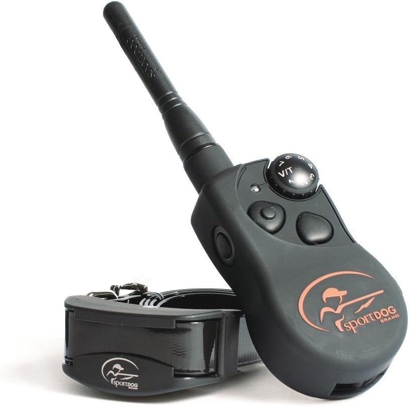 Top 10 Best Dog Training Collar Reviews & Buyers Guide