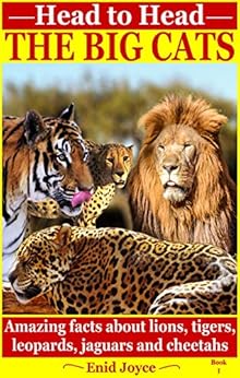 The big Cats: Amazing facts about the Lion, the Tiger, the Jaguar, the ...