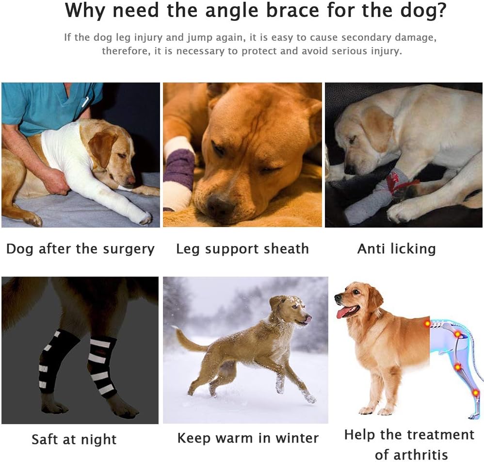 Нсрet Dog Leg Brace, Hcpet 1 Pair Leg Hock Joint Wrap Protects with ...