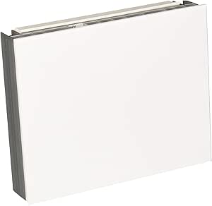 Amazon.com: Lutron PHPM-PA-120-WH Power Mod Phase-Adapter 120V White : Electronics