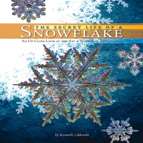 The Secret Life of a Snowflake: An Up-Close Look at the Art and Science ...