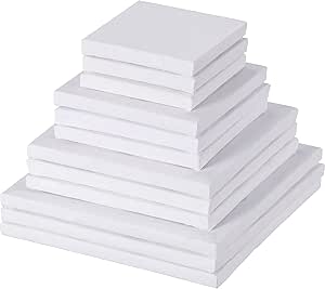 Amazon.com: 12 Pieces Assorted Size Mini Art Canvas Stretched for Craft ...