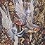 Faeries: Deluxe Collector's Edition: Brian Froud, Alan Lee, Jane Yolen ...