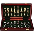 Amazon.com: 11Inch Large Deluxe Metal Chess Set - Portable Wooden Box ...