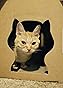 Amazon.com : Catopia H-002 DIY Cat House for Indoor Cats Toys : Pet ...