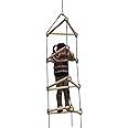Amazon.com: Swing-N-Slide NE 3023 Triangle Rope Ladder Swing Set ...