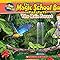 Magic School Bus Presents: The Rainforest: A Nonfiction Companion to ...