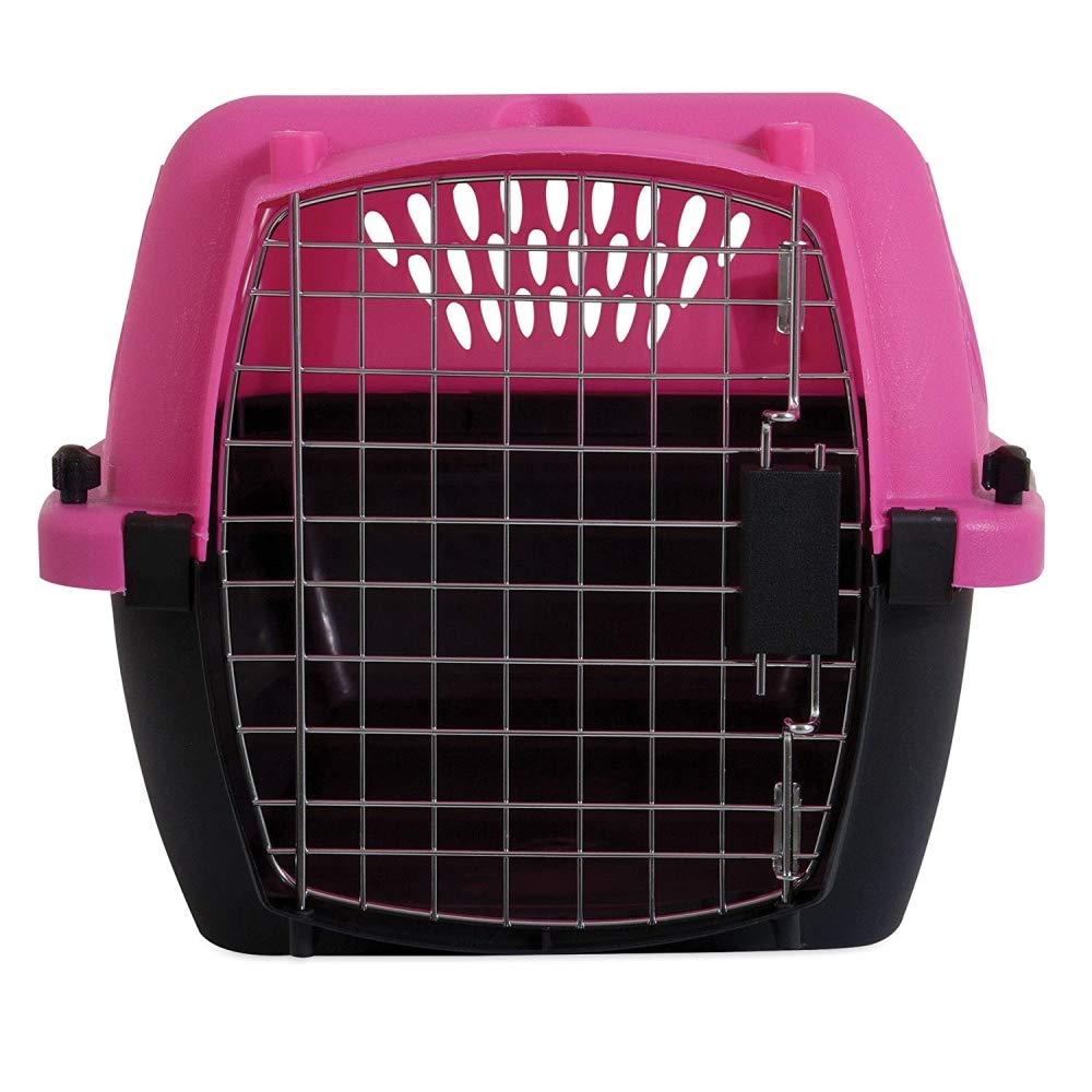 Aspen Pet Porter Heavy-Duty Pet Carrier