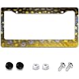 Amazon.com: Brook Trout Fly Fishing Metal License Plate Frame Aluminum ...