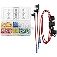 Amazon.com: DIGITEN Mini Fuse Kit Automotive Mini Blade Type ATM Fuse ...