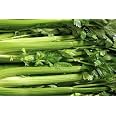 Amazon.com : Celery Seed, Tendercrisp, 25 Seeds, Heirloom, Non GMO, for ...