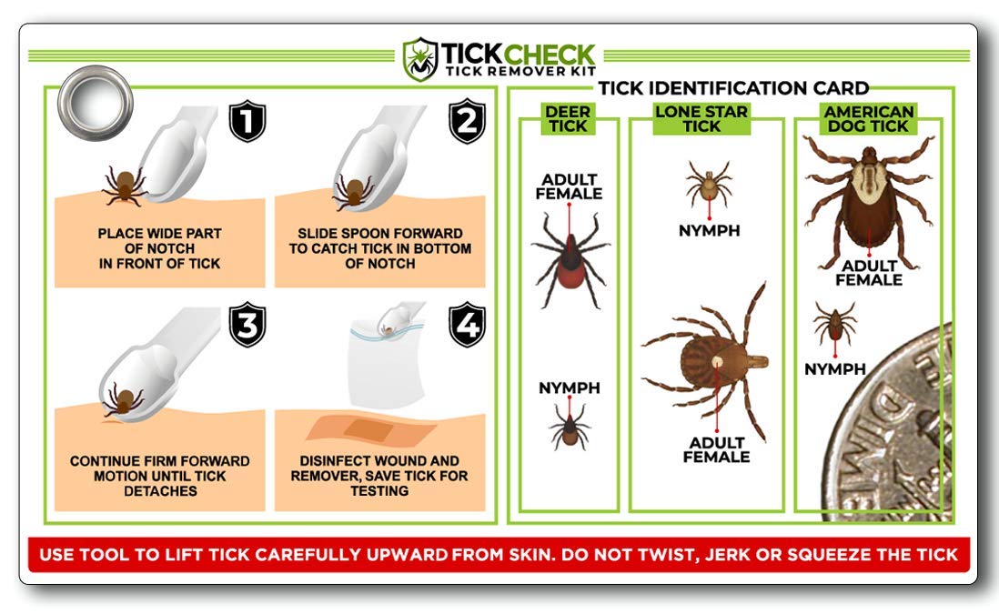 Mua TickCheck Tick Remover Spoon - 3 Pack of Lightweight Tick Remover ...