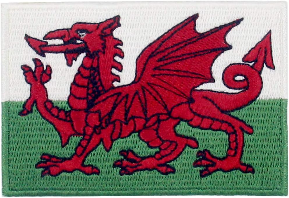 EmbTao Wales Flag Patch Embroidered Welsh Applique Iron On Sew On ...