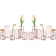 Amazon.com: Glasseam Small Pink Bud Vase: Mini Modern Glass Vase Set of ...