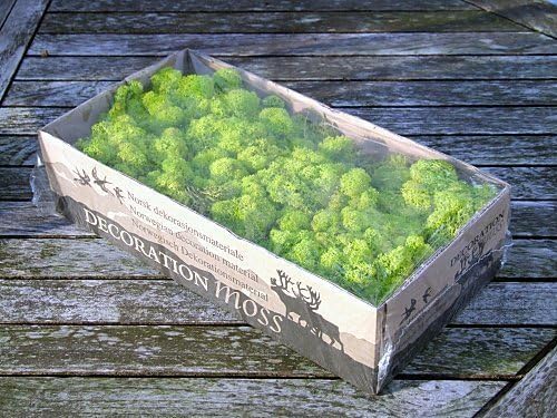 REINDEER MOSS SPRING GREEN: Amazon.co.uk: Toys & Games