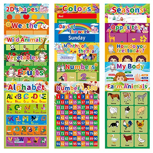 16Pack Laminated Educational Posters for Preschool Kids Toddlers ...