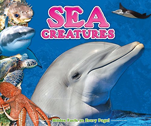Sea Creatures: Kidsbooks: 9781588658319: Amazon.com: Books