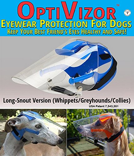 Amazon.com : Optivizor Clear UV Medical/Preventative Eye Protection ...