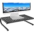 Amazon.com: WALI Monitor Stand Riser, Laptop Riser for Desk, Computer ...