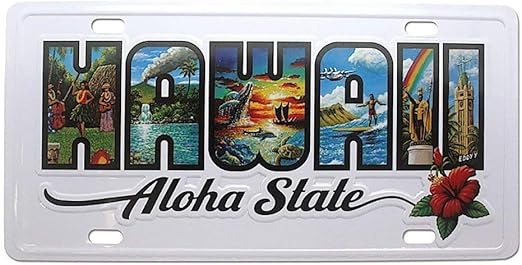 Amazon.com: Welcome to the Islands Hawaii License Plate Aloha State ...