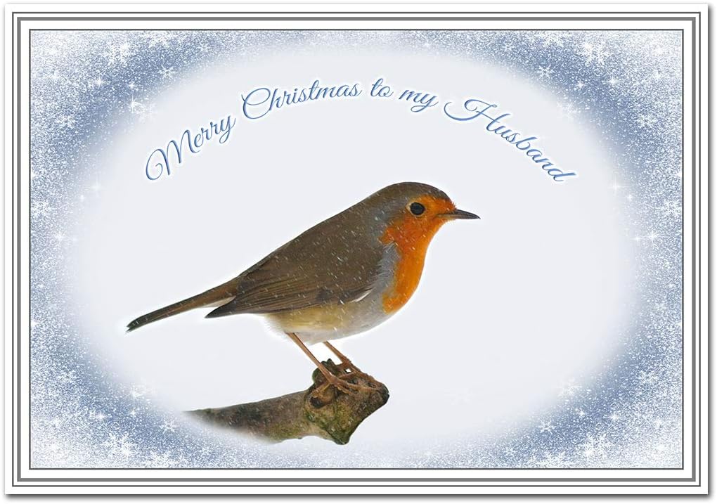 Robin Christmas Cards - Unusual - Red Breast - Family Friends - Luxury ...