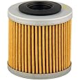 Amazon.com: Hiflofiltro HF563 Premium Oil Filter, Black : Automotive