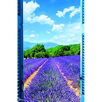 Amazon.com: Trends International Lavender Field Wall Poster, 22.375" x ...
