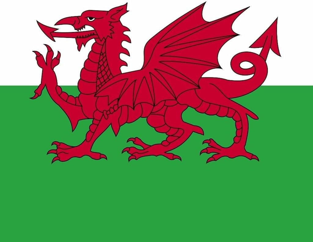 Welsh Flag of Wales Tubular Bandana-Cymru-Y Ddraig Goch Red Dragon Neck ...