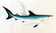 Amazon.com: Handpainted Blue Shark Fish Wall Mount Decor Plaque 18 ...