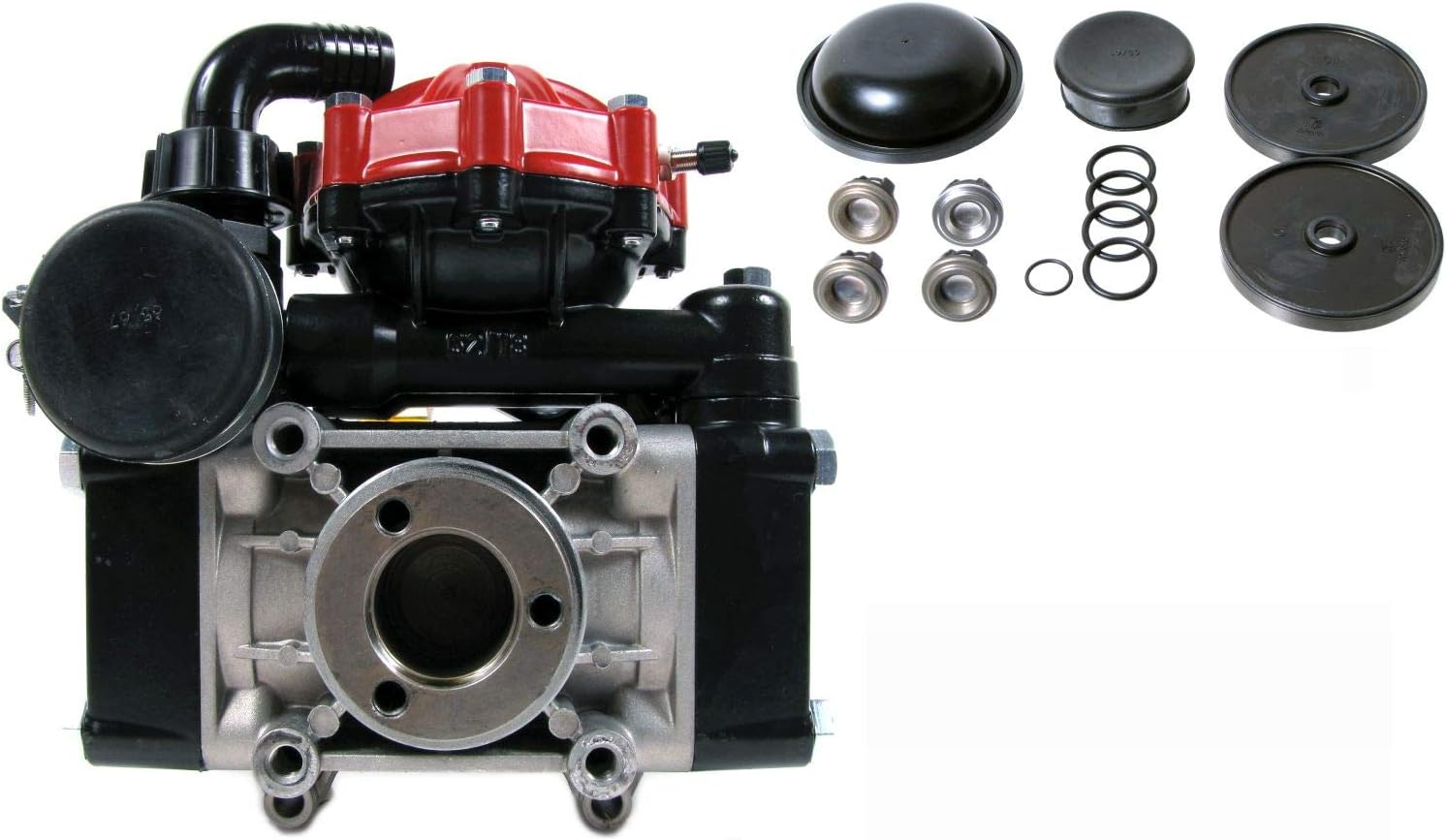Amazon.com: Hypro D30 Diaphragm Pump with Complete Repair Kit ...