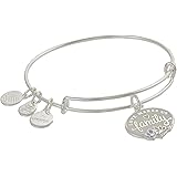 Amazon.com: Alex and Ani Womens Because I Love You Charm Bangle Bracelet, Rafaelian Silver ...
