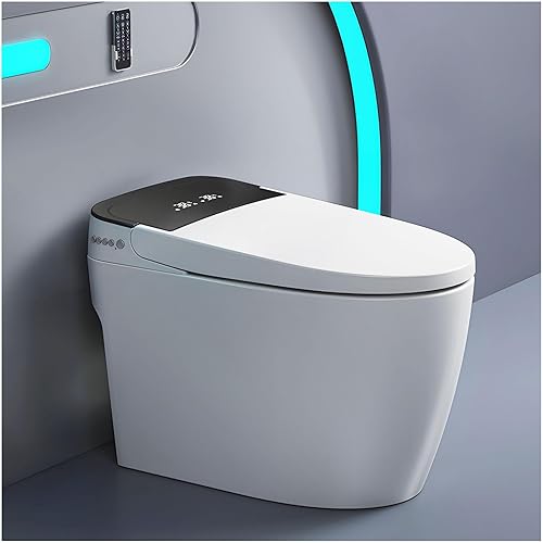 Wtxwood Modern Smart Toilet with Bidet Built in,Luxury One Piece ...