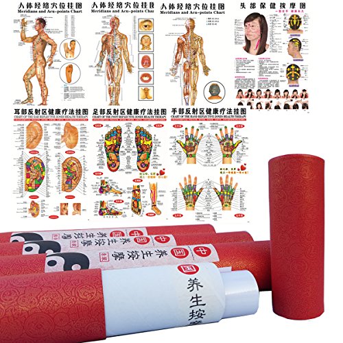 Meridians And Acu-points Chart，FOOT Reflexology/ Philippines | Ubuy