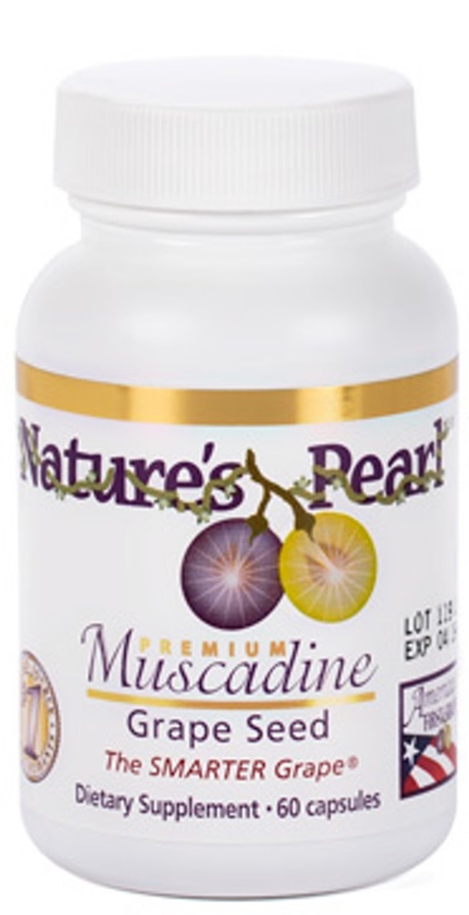 Amazon.com: Muscadine Grape Seed 100% Pure Muscadine Grape Seed 90 ...