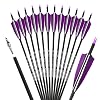 ZSHJGJR 30 Inch Archery Carbon Arrows Hunting Arrows with 4” Turkey ...