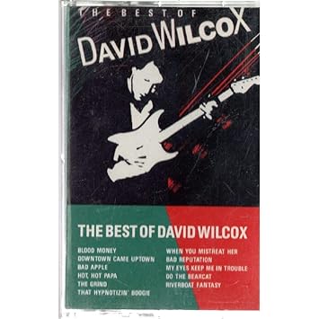 David Wilcox - David Wilcox: The Best Of Cassette VG++ Canada Capitol ...