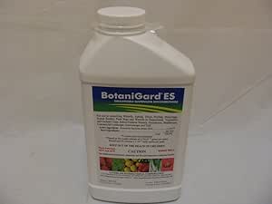 Amazon.com : Botanigard Es Biological Insecticide 1qt : Insect Traps ...