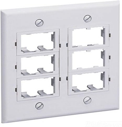 Panduit CFPF12WH-2G 2-Gang 12-Port Vertical Mounting Faceplate Kit ...