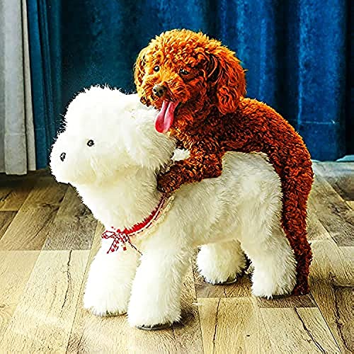 Wedding dog toy 60 photos - Astyledwedding.com