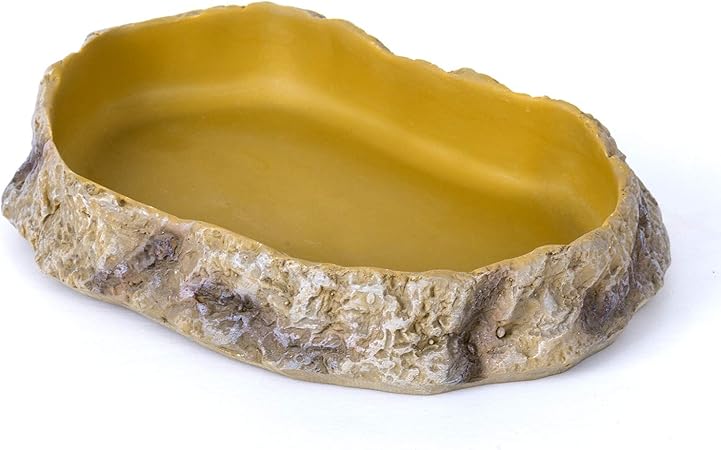 Amazon.com : REPTIZOO Reptile Food Dish Terrarium Water Bowl Food ...