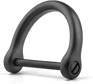 Amazon.com: TISUR Titanium D-Rings, Metal Strong Carabiner D Shape ...