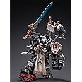 Amazon.com: HiPlay JoyToy Warhammer 40K Grey Knights Terminator Incanus Neodan 1:18 Scale ...