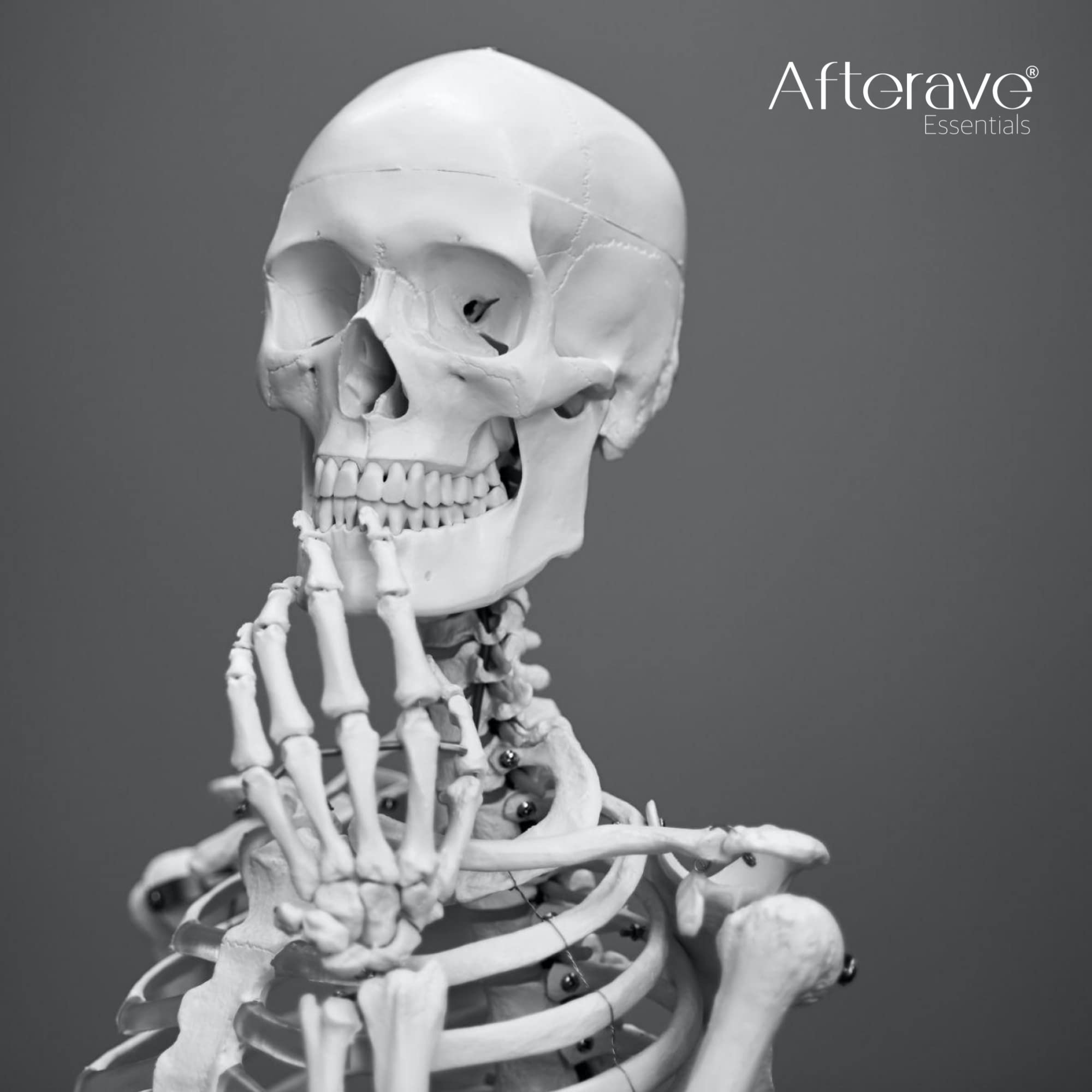 Mua BoneBase Premium Formula Bone & Joint Mobility, Build Strong Bone ...