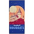 Amazon.com: Jay Franco Harry Potter Hogwarts Castle Kids Bath Pool ...