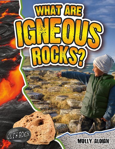 What Are Igneous Rocks? : Aloian, Molly: Books