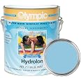 Amazon.com: Olympic Pool Paint - Hydrolon - Blue Mist - 1 Gallon ...