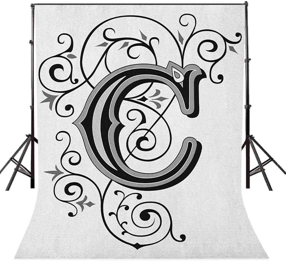 Photo Backgrounds 7x10 FT Eiffel Tower Vinyl Photography Background ...