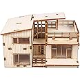 Amazon.com: YOUNGMODELER DESKTOP Wooden Assembly Model Kits. (Modern ...