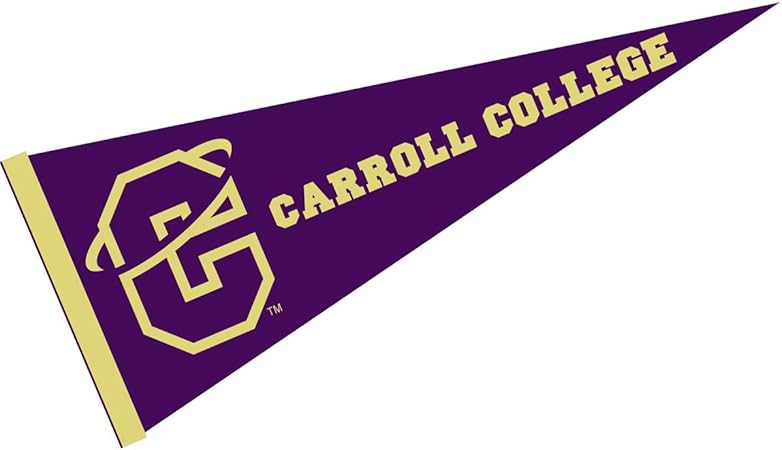 Amazon.com : College Flags & Banners Co. Carroll Fighting Saints ...